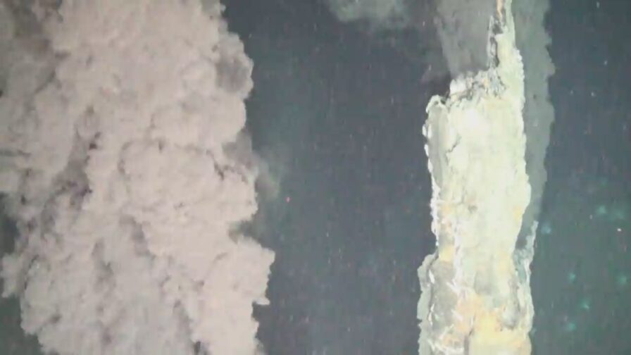 New species of eyeless shrimp discovered swarming the deepest volcanic ...