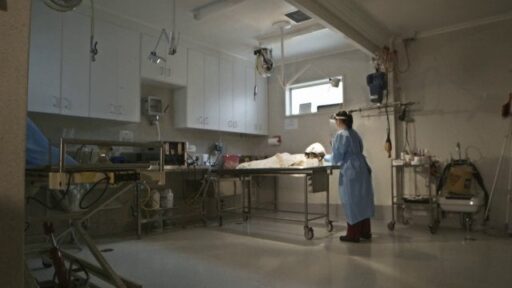 Dressing Up For the Reaper: How Embalming Makes the Dead Look Alive