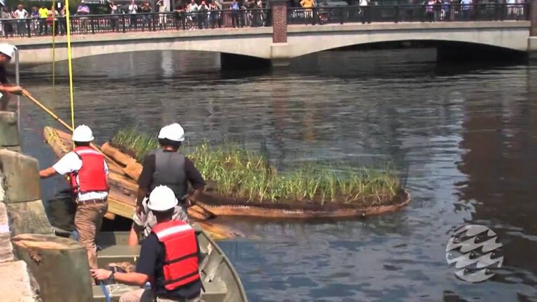 Baltimore's Stealthy Plan to Make Its Harbor Swimmable By 2020