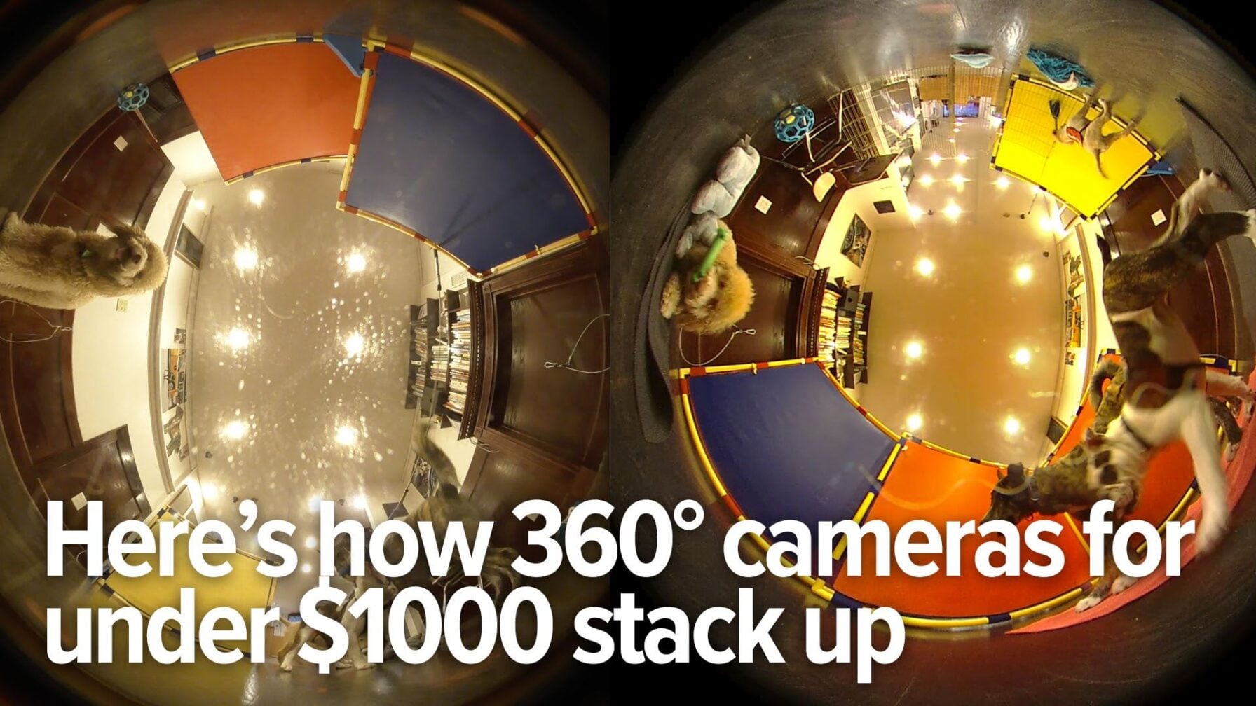 We Tested The Best 360 Degree Cameras Under $1000