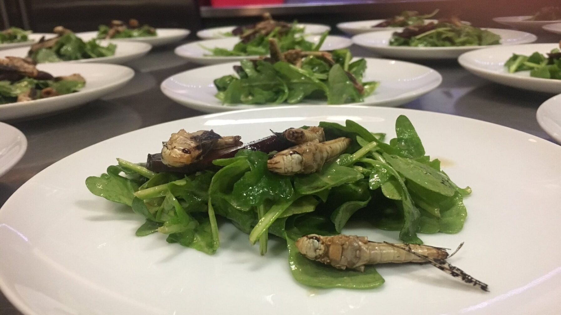 I Ate Wasps and Scorpions at New York's First Bug Eating Festival