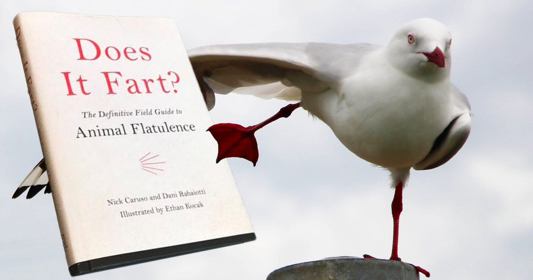 Finally, There's a Book About Which Animals Fart