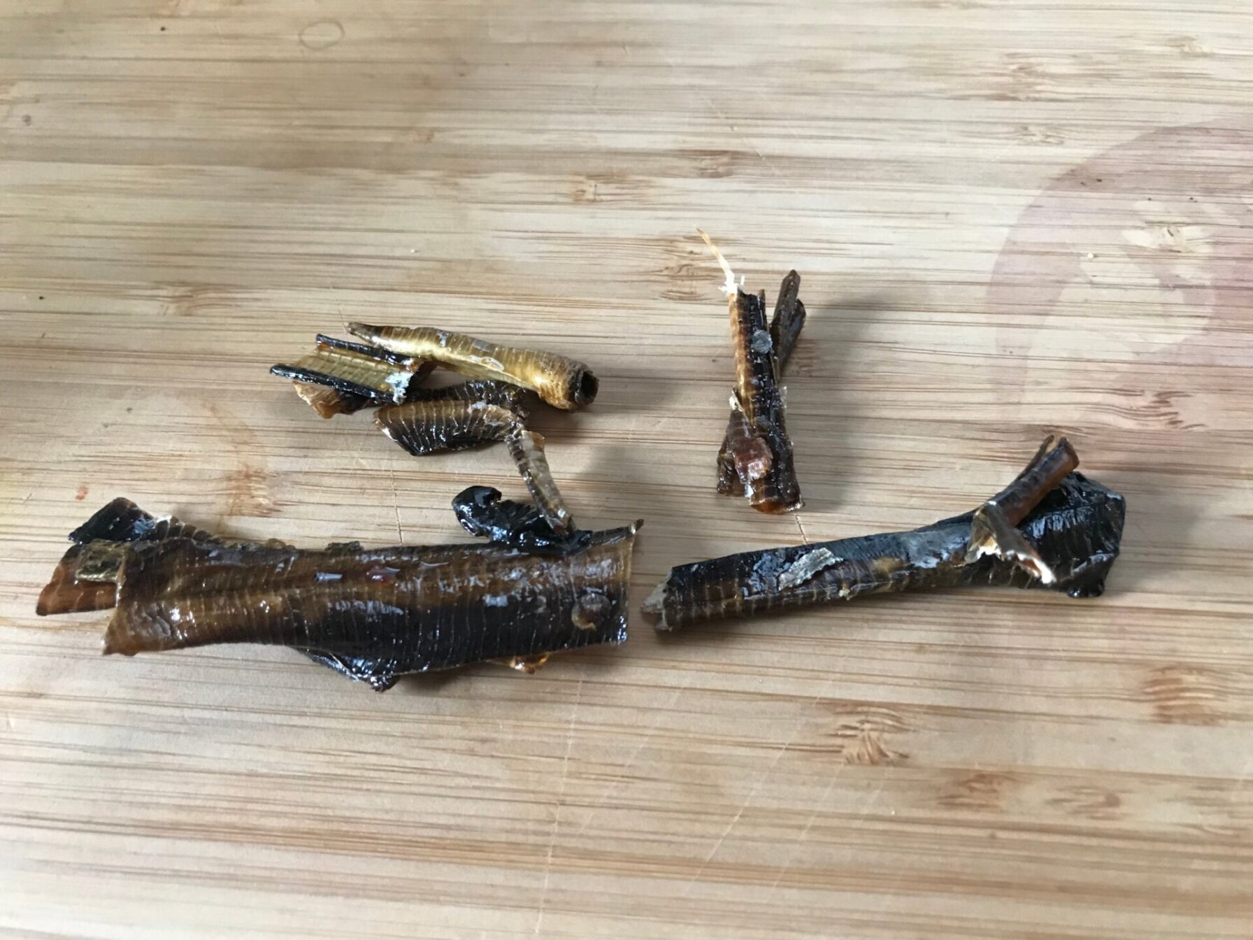 The Earthworm Jerky I Bought on Walmart.com Tasted Like Shit