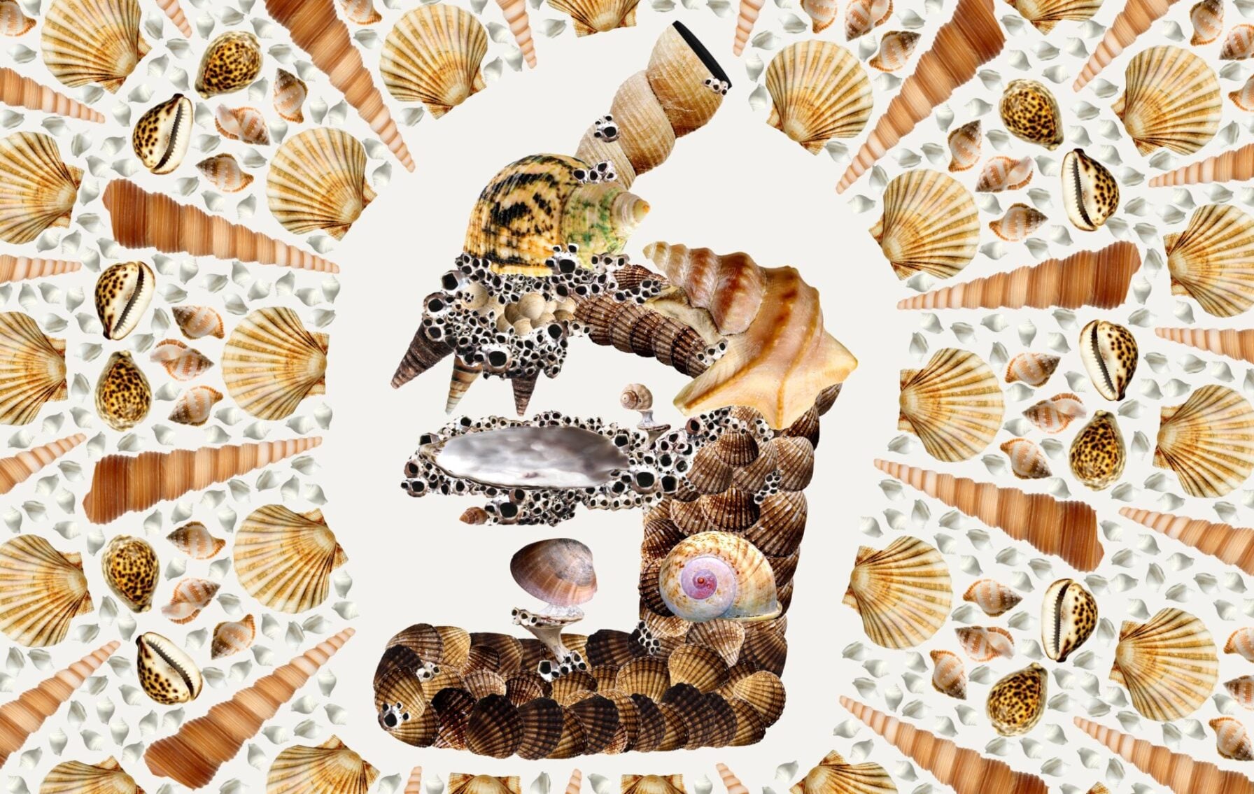 The Secret Science of Shell Seeking