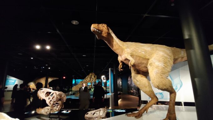 What Did T. Rex Look Like? A New Exhibit Has the 'Ultimate Predator' in ...