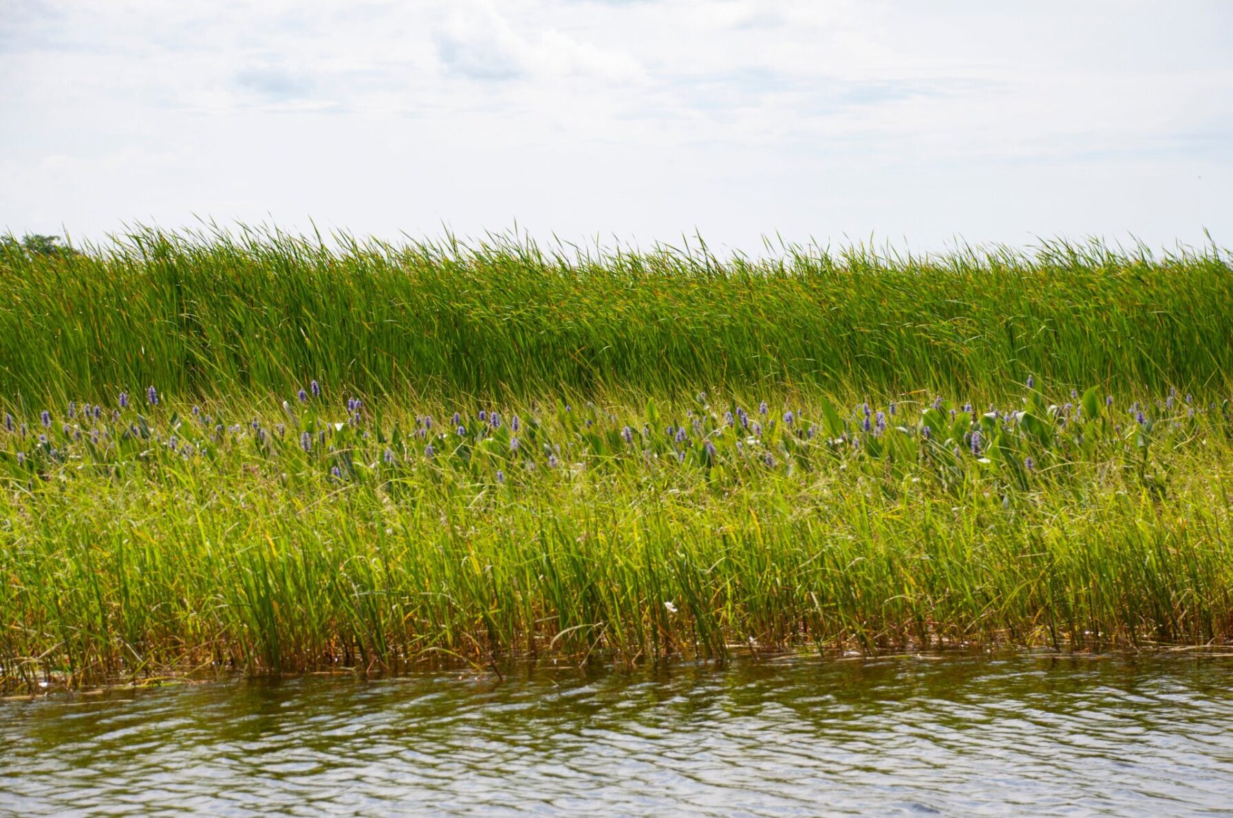 The Battle for Bad River