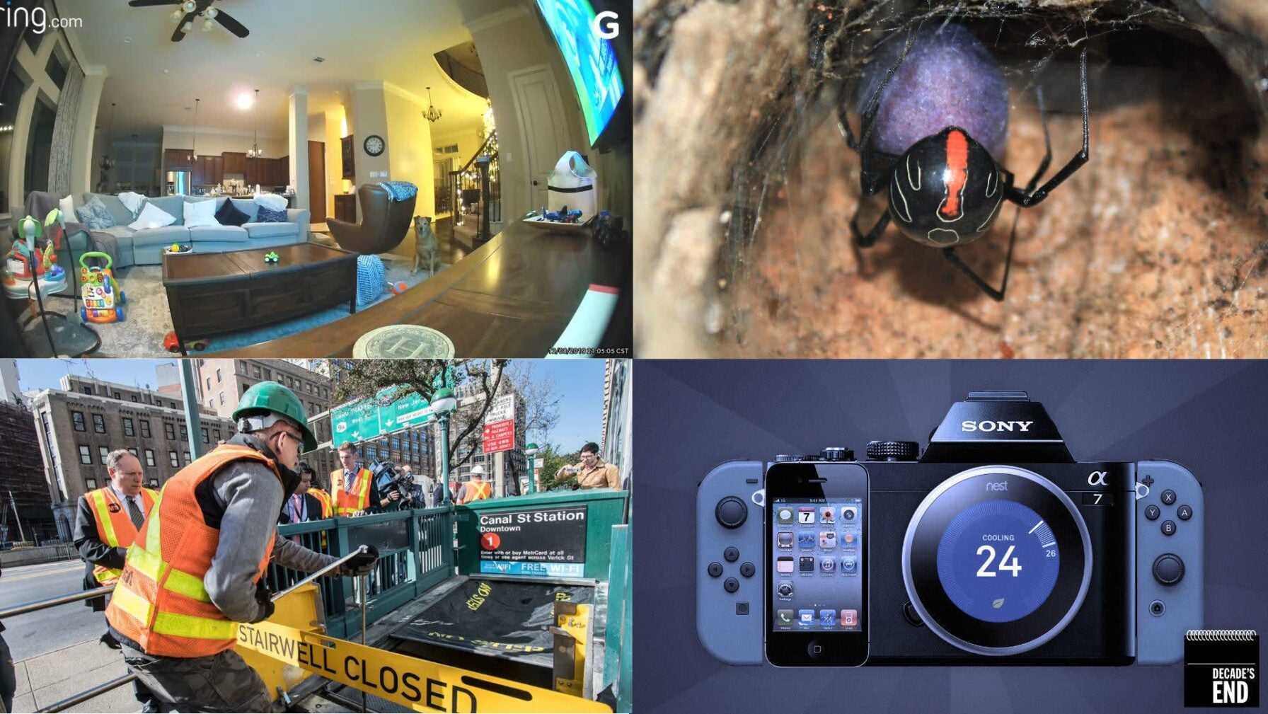 Ring Camera Hacks, Viral Fakes, and Decade Highlights: Best Gizmodo ...