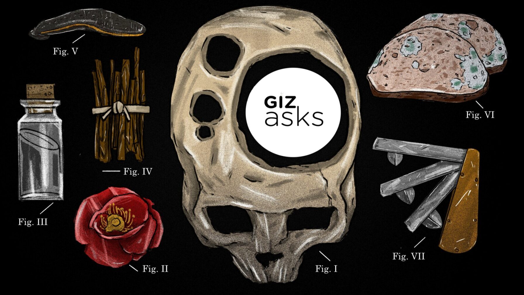 Which Ancient Medicines Turned Out to Be Real?
