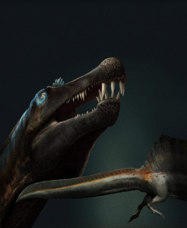 Well-Preserved Tail of Terrifying Aquatic Dinosaur Shows It Was a ...
