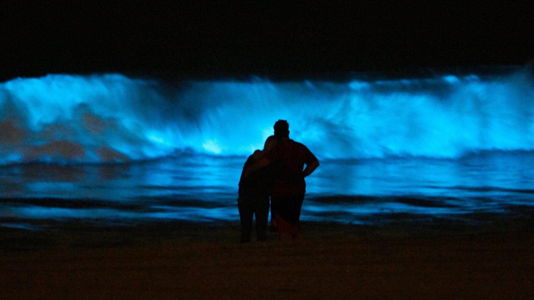 Bioluminescent Waves Draw Crowds to California Beaches