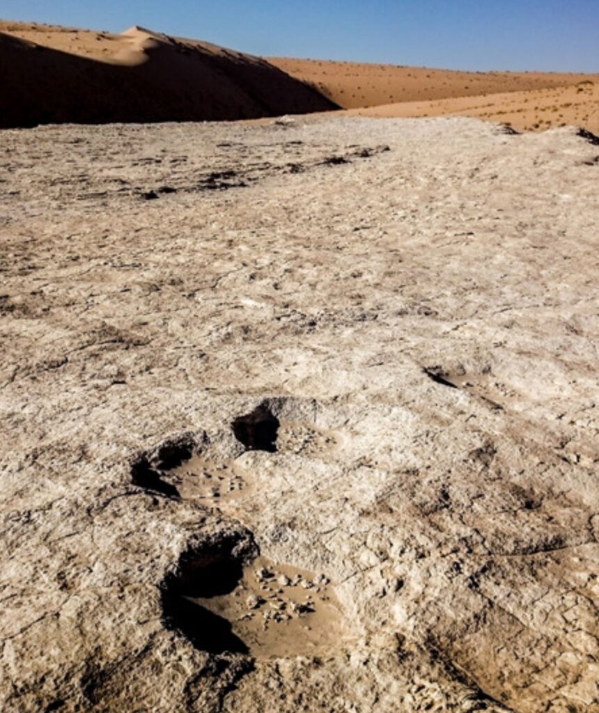 120,000-Year-Old Human Footprints Mark Possible Migration Route Through ...