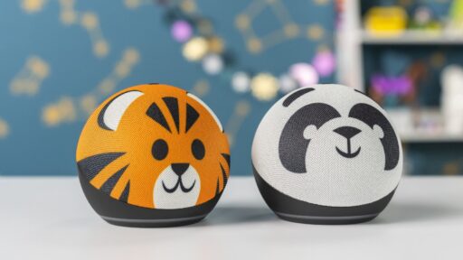 Amazon's Echo Is Now a Ball