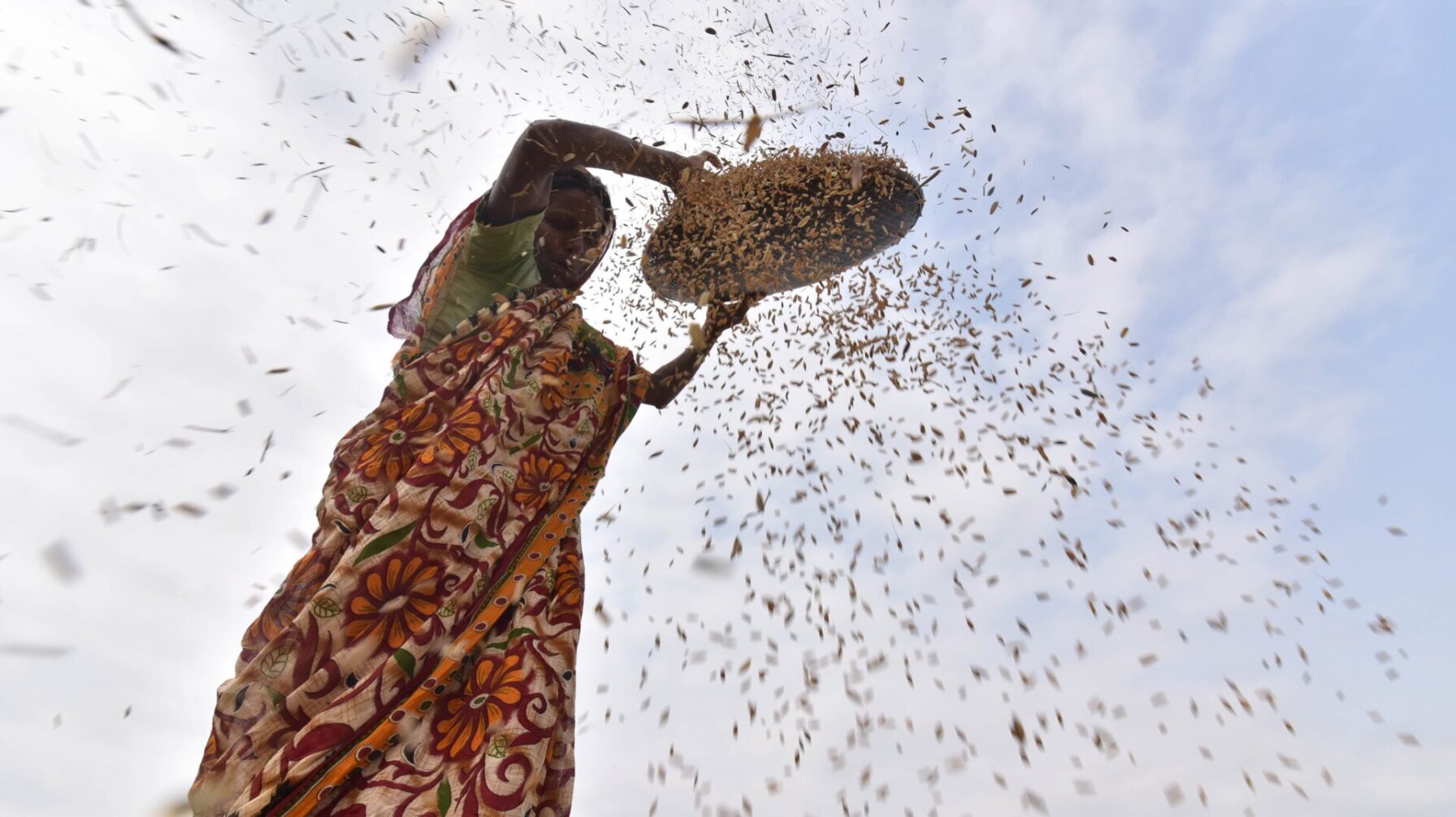 An AI Analysis of 500,000 Studies Shows How We Can End World Hunger
