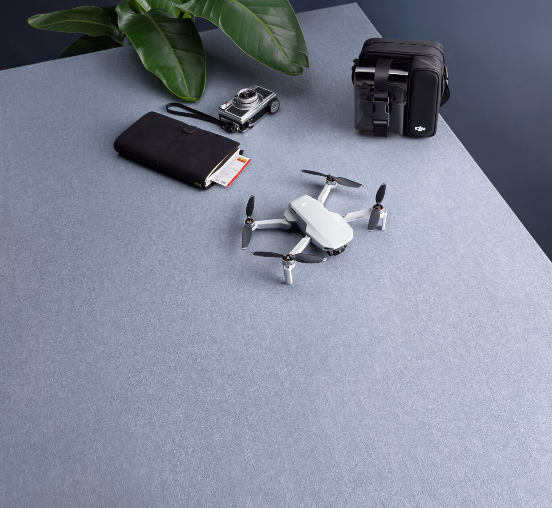 DJI's Mavic Mini 2 Packs 150% Better Range and 4K Video Into the Same ...