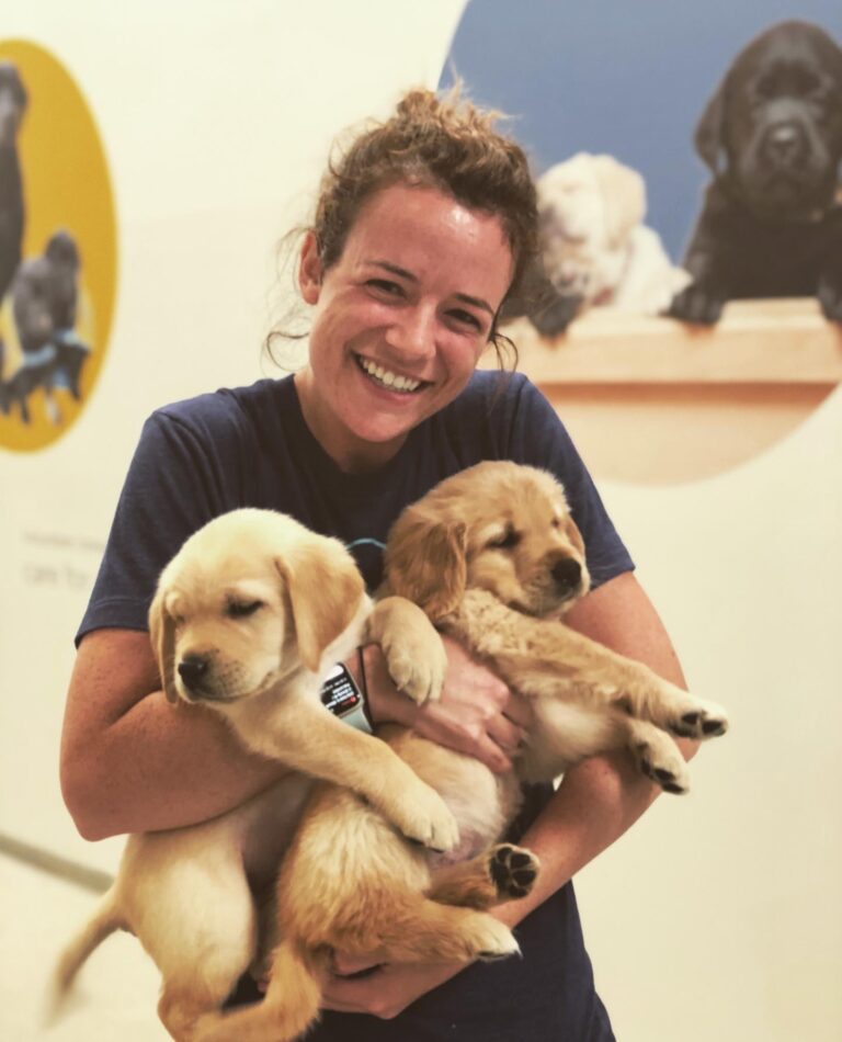 Puppy Experiment Shows How Dogs Connect With Humans From Birth