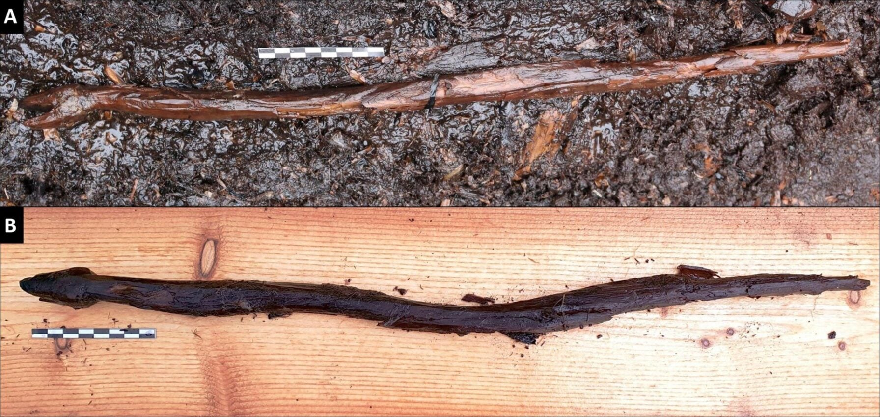 This Carved Snake May Have Been the Staff of a Stone Age Shaman