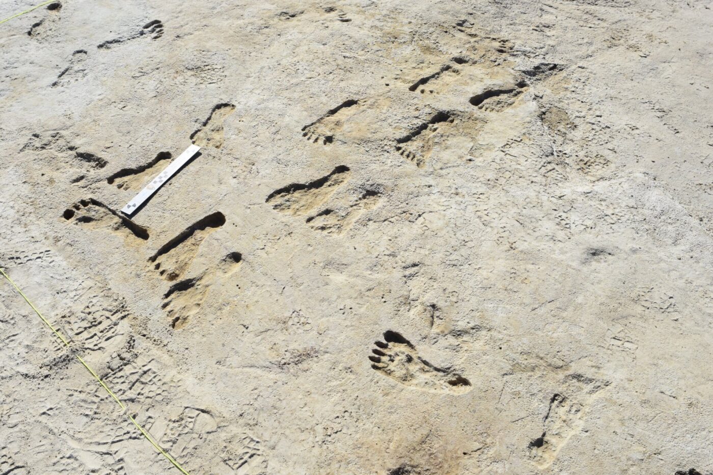 Footprints Suggest Humans Migrated Deep Into North America Earlier Than ...