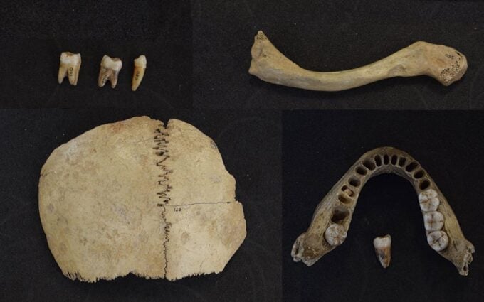 Oldest Human DNA Found in the UK Reveals Origins of Early Britons