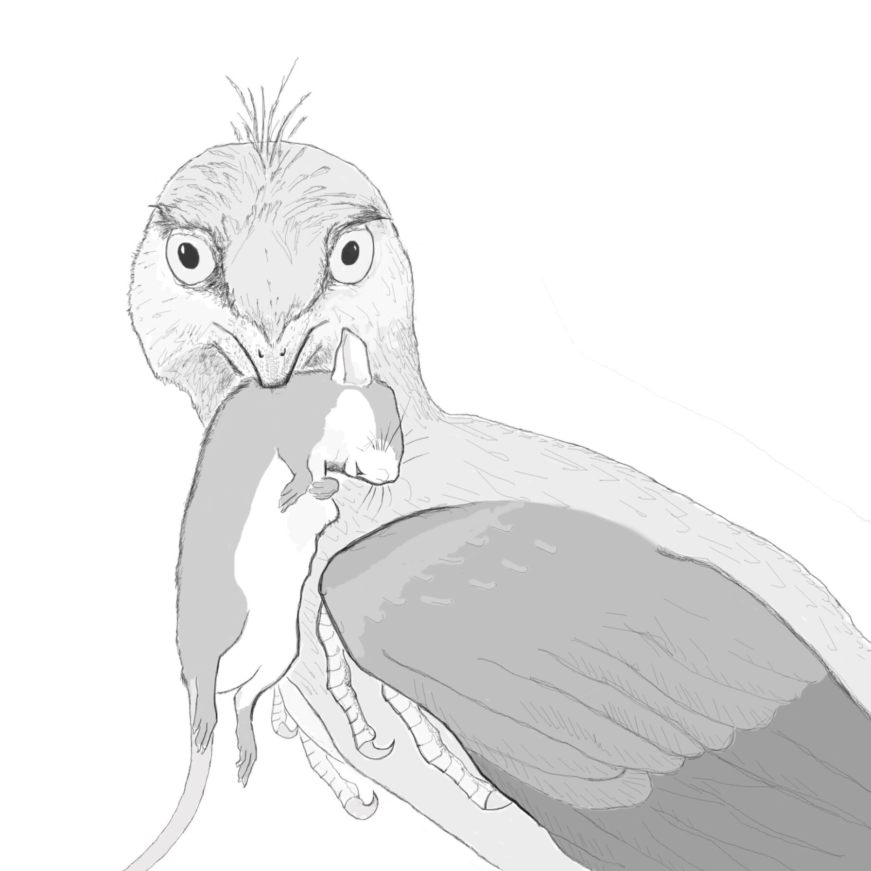 Scientists Find a Mammal's Foot Inside a Dinosaur, a Fossil First