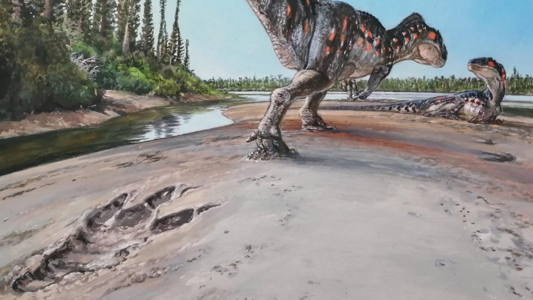 The Clumsy, the Weird, the Gross: These Fossils Reveal How Extinct ...