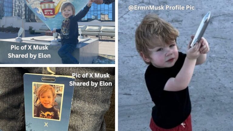 Elon Accidentally Revealed His Alt Twitter Account