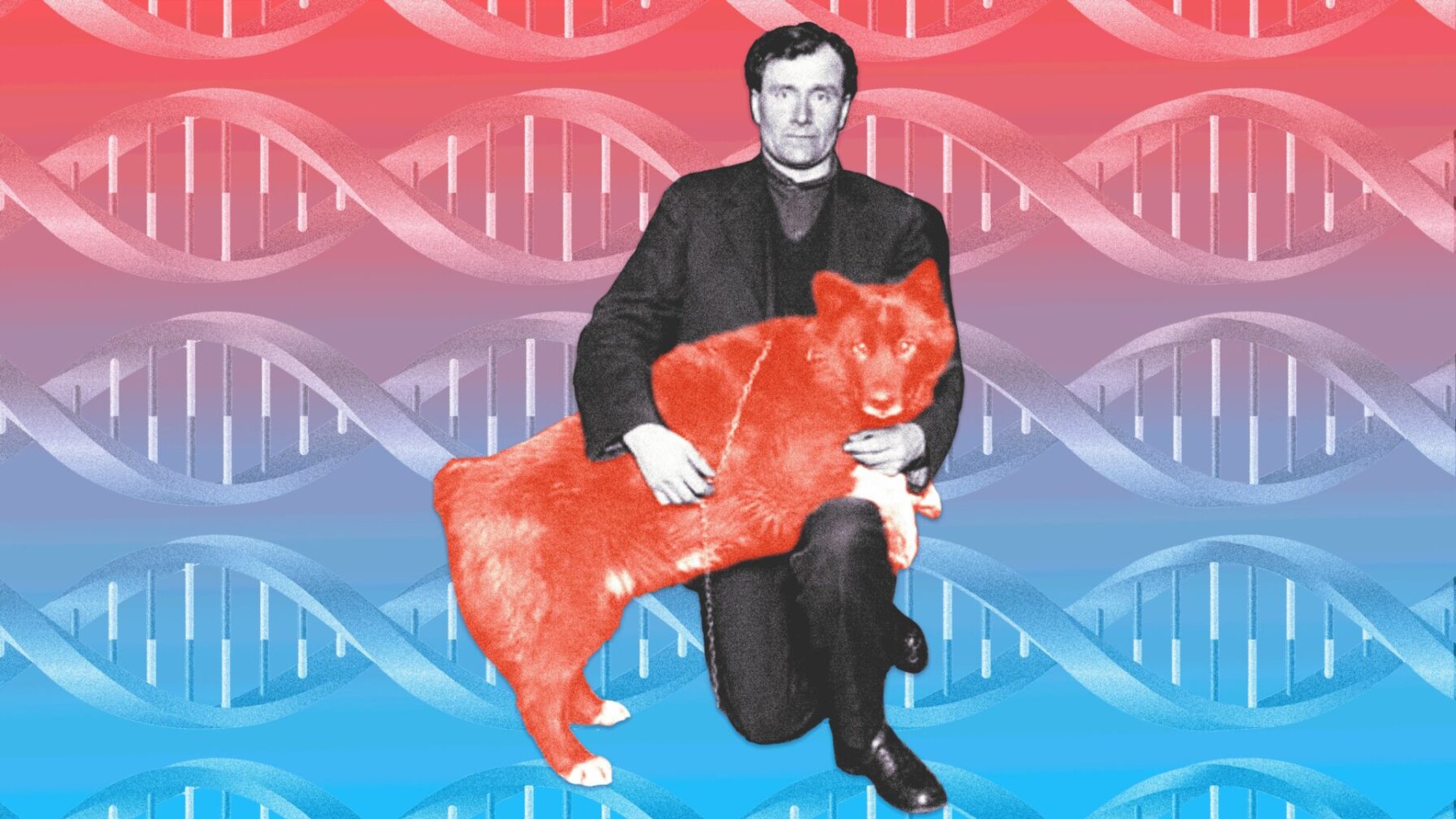 Scientists Sequence Genome of Famous Good Boy Balto the Sled Dog
