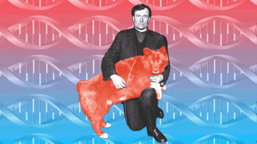 Scientists Sequence Genome of Famous Good Boy Balto the Sled Dog