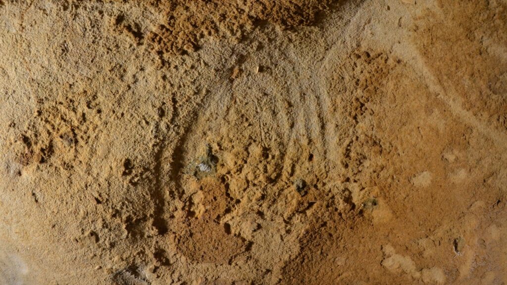 57,000-Year-Old Cave Engravings Were the Work of Neanderthals ...