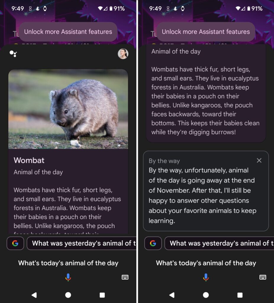 Google Is Sending Its 'Animal of the Day' Assistant Feature to a Farm ...