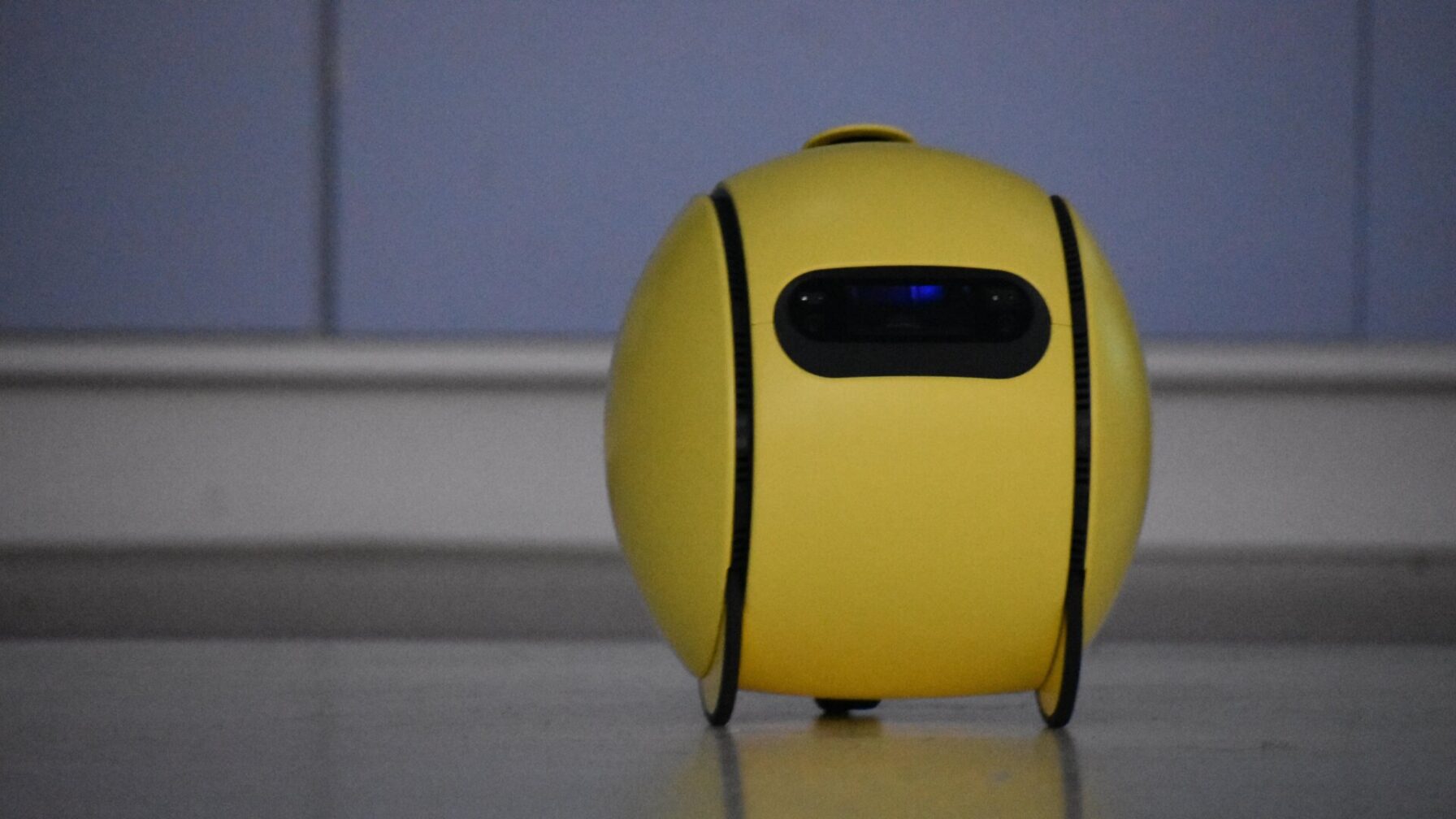 These Were the Best, Cutest, Most Obscene Bots of CES 2024