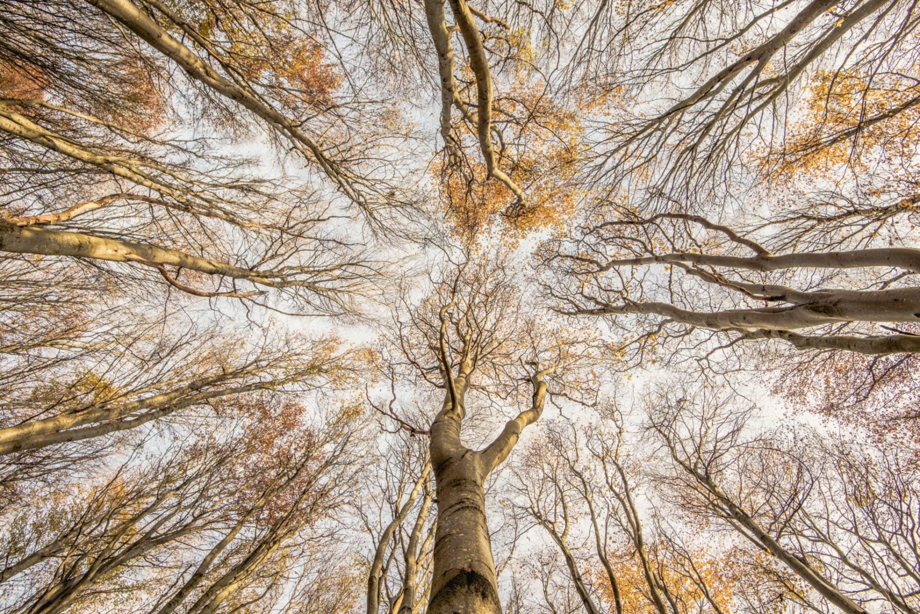 See the Captivating Winners of the British Wildlife Photography Awards ...