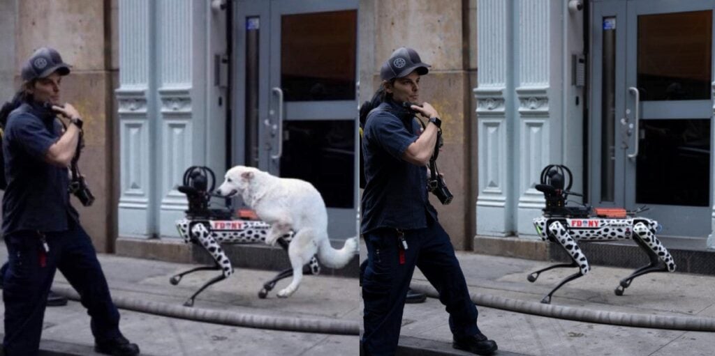 15 of the Biggest Fake Images That Went Viral in 2024