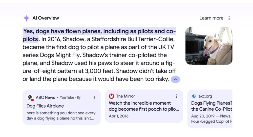 The Worst Google AI Answers So Far The Worst Google AI Answers So Far