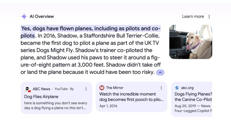 The Worst Google AI Answers So Far