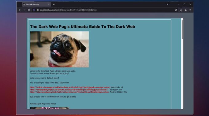What Is the Dark Web and How to Access It Safely?