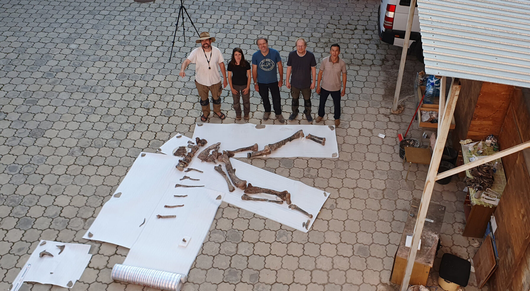 26-Foot-Long Distant Cousin of T. Rex Was Found in an Unexpected Place