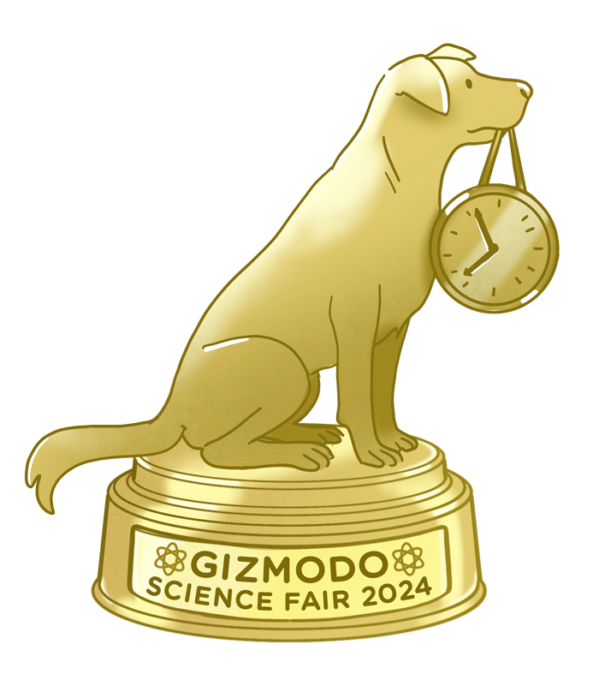 Gizmodo Science Fair: A Longer Life for Big Dogs