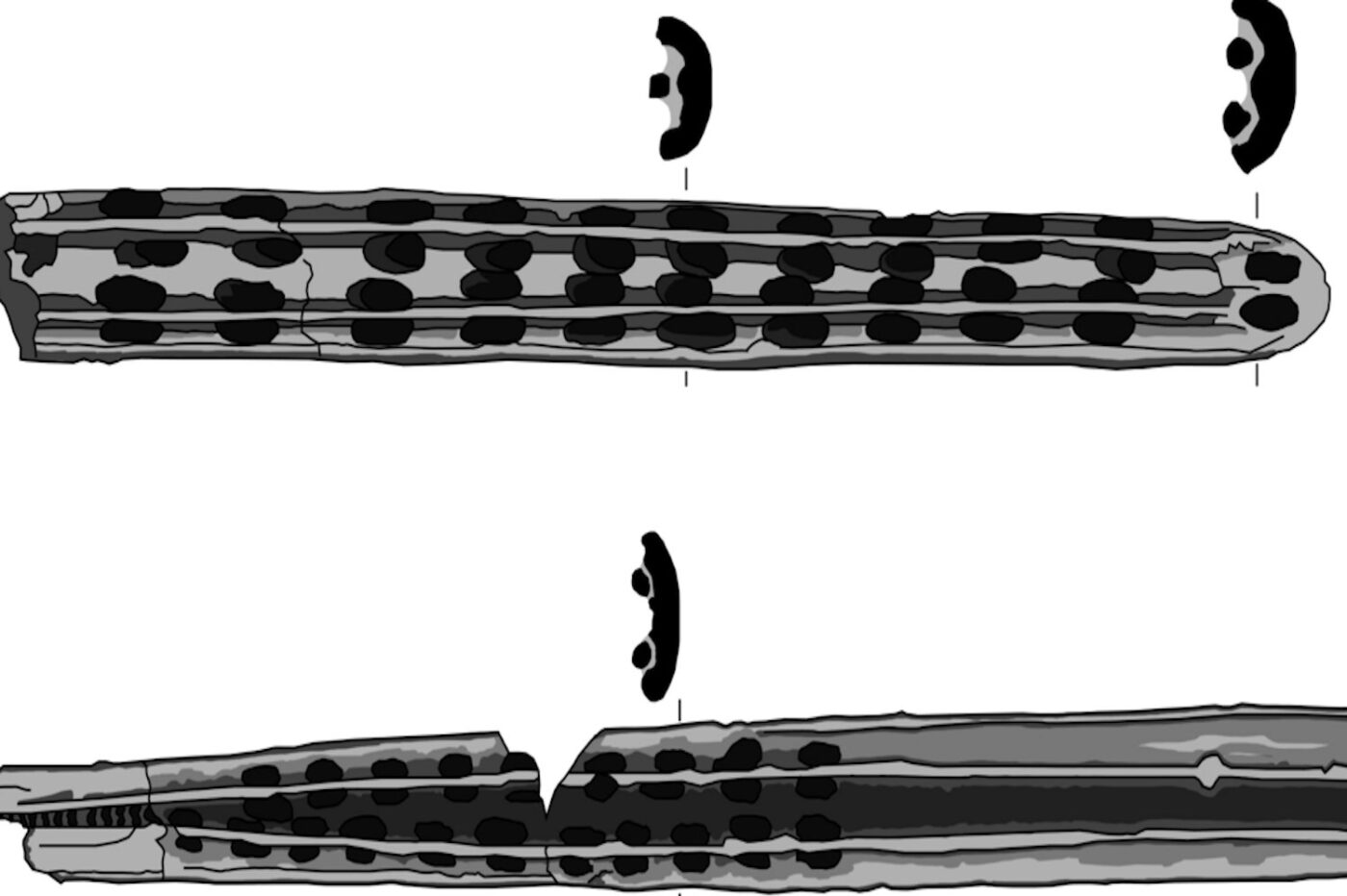 Long Before Vikings, Skin Boats Allowed Early Scandinavians to Rule the ...