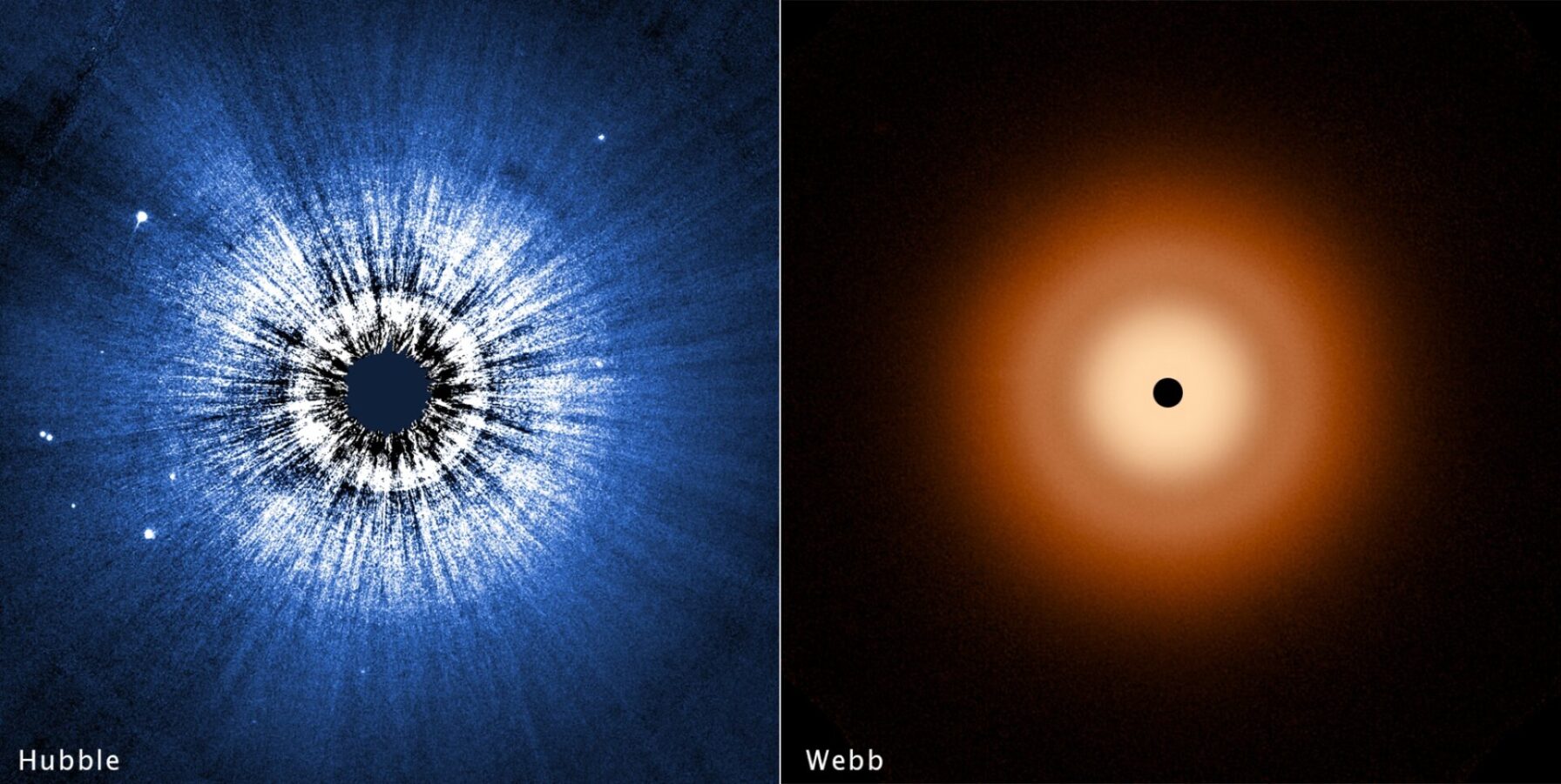 The Curious Case of Iconic Star Vega's Missing Planets