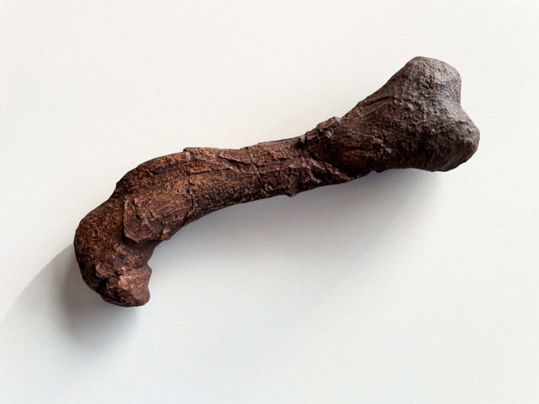 This Saber-Toothed Predator Is the Oldest Mammal Ancestor Ever Found