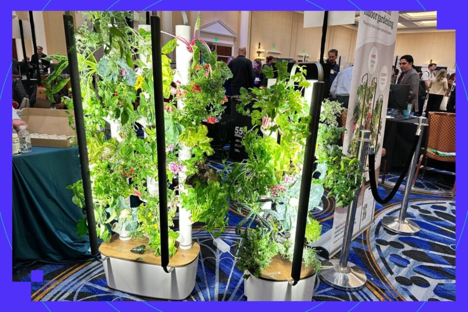 Gizmodo's Best of CES 2025 Awards: See the Winners
