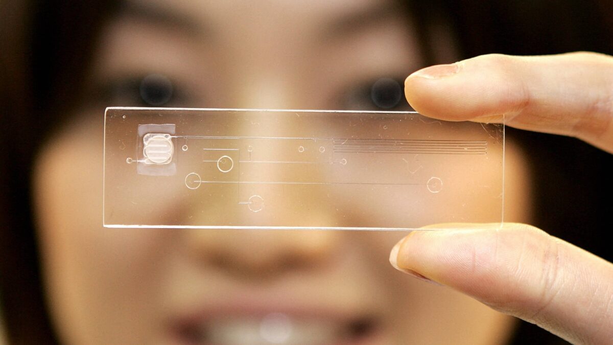 Remember When Nanotech Was the Next Big Thing?