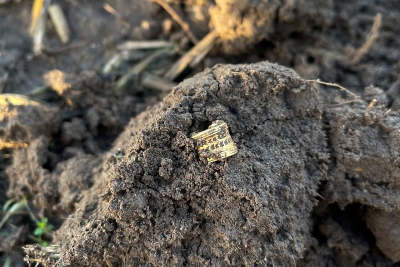 Metal Detectorist Unearths Miniature 1,600-Year-Old Roman Lock