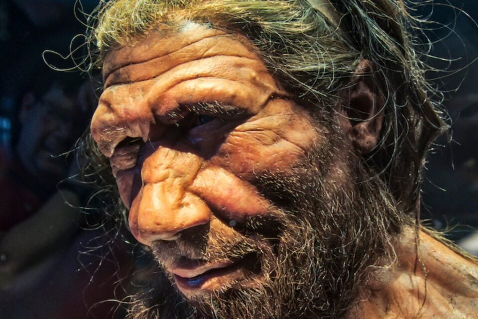 Something Bad Happened to Neanderthals 110,000 Years Ago—and It May ...