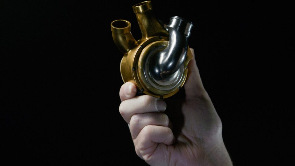 Patient With Artificial Heart Smashes Survival Record