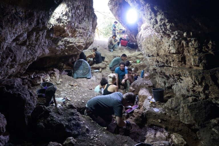 Did Neanderthals Go Extinct Because of the Size of Their Brains?