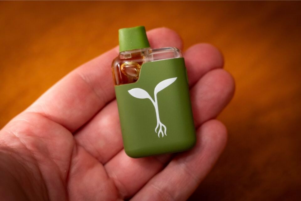 Raw Garden Sprout Review: A Smooth Disposable Vape Minus the Microplastics