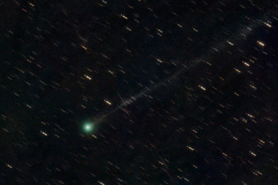 A New Comet Is Streaking Across the Morning Sky. Catch It Before the ...