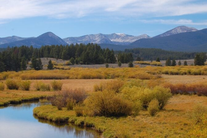 Scientists Are Sounding the Alarm Over Trump’s 'Emergency' Forest ...