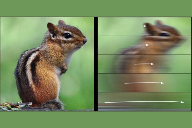 Why Does Time Slow Down and Speed Up?